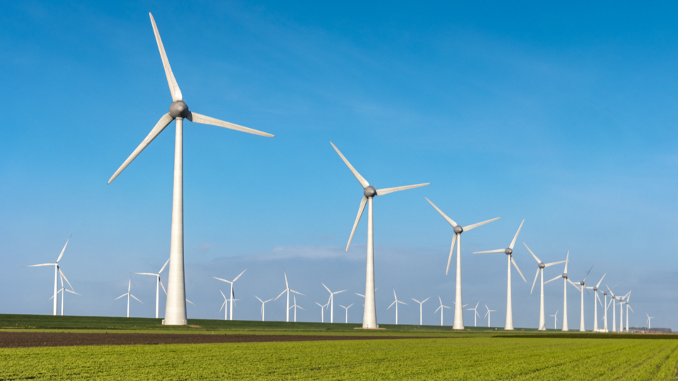 Logistique verte - Logisber