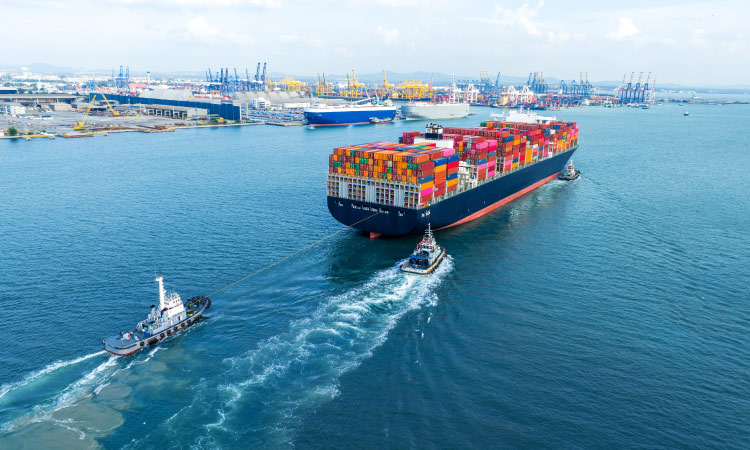 ¿Cómo transportar botellas de vino en barco? - Logisber