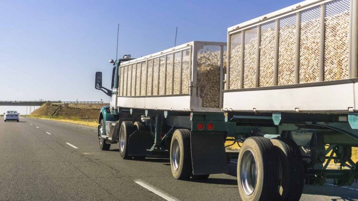 Land, air and sea transport for fruit and vegetables - Logisber