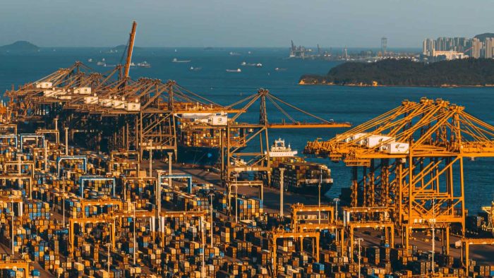 Benefits of an Authorized Economic Operator (AEO) in Logistics - Logisber